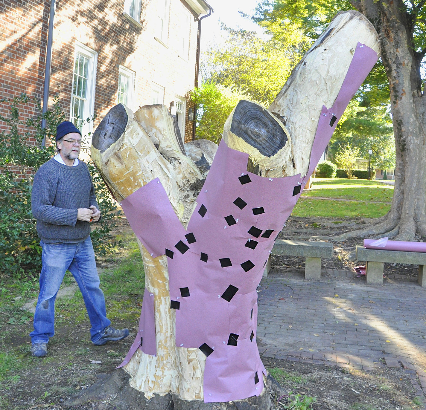 Dead tree brings Arts Commission public arts proposal back to life ...