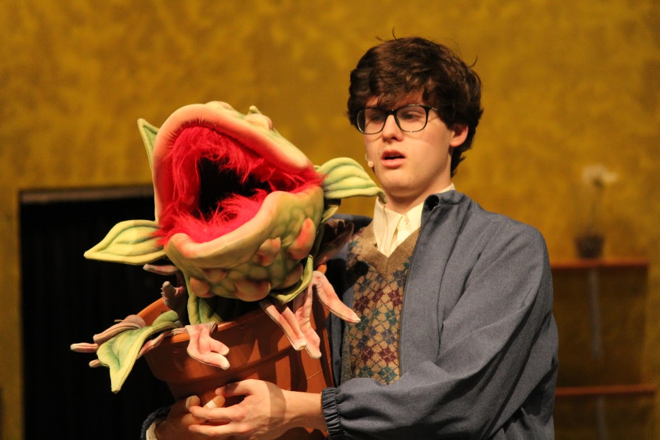 Director impressed with cast’s job on ‘tough musical’ of DHS ‘Little ...