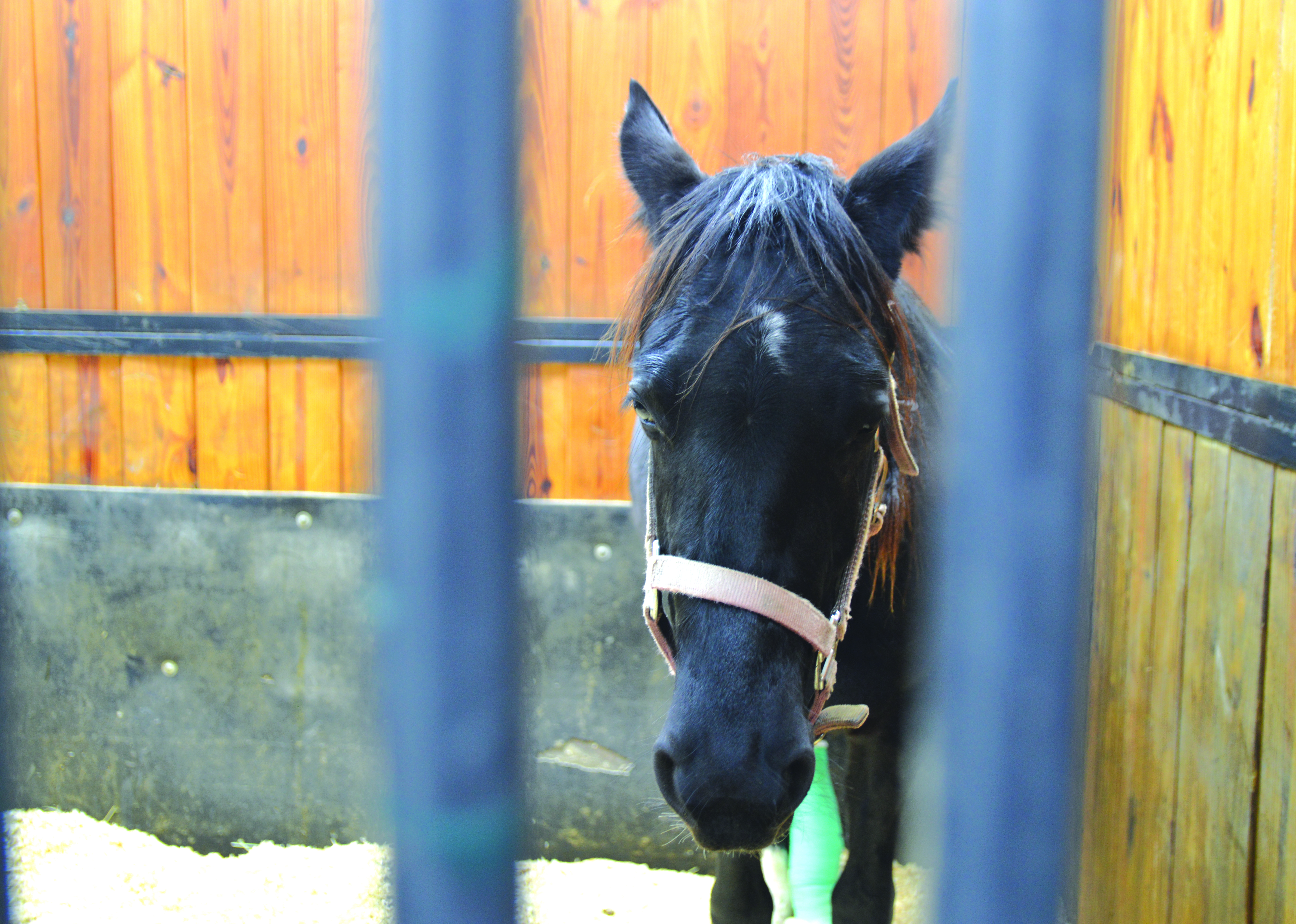 PROGRESS 2021: (function(){window.pmDC=1;if(window.pmDT){var e ...