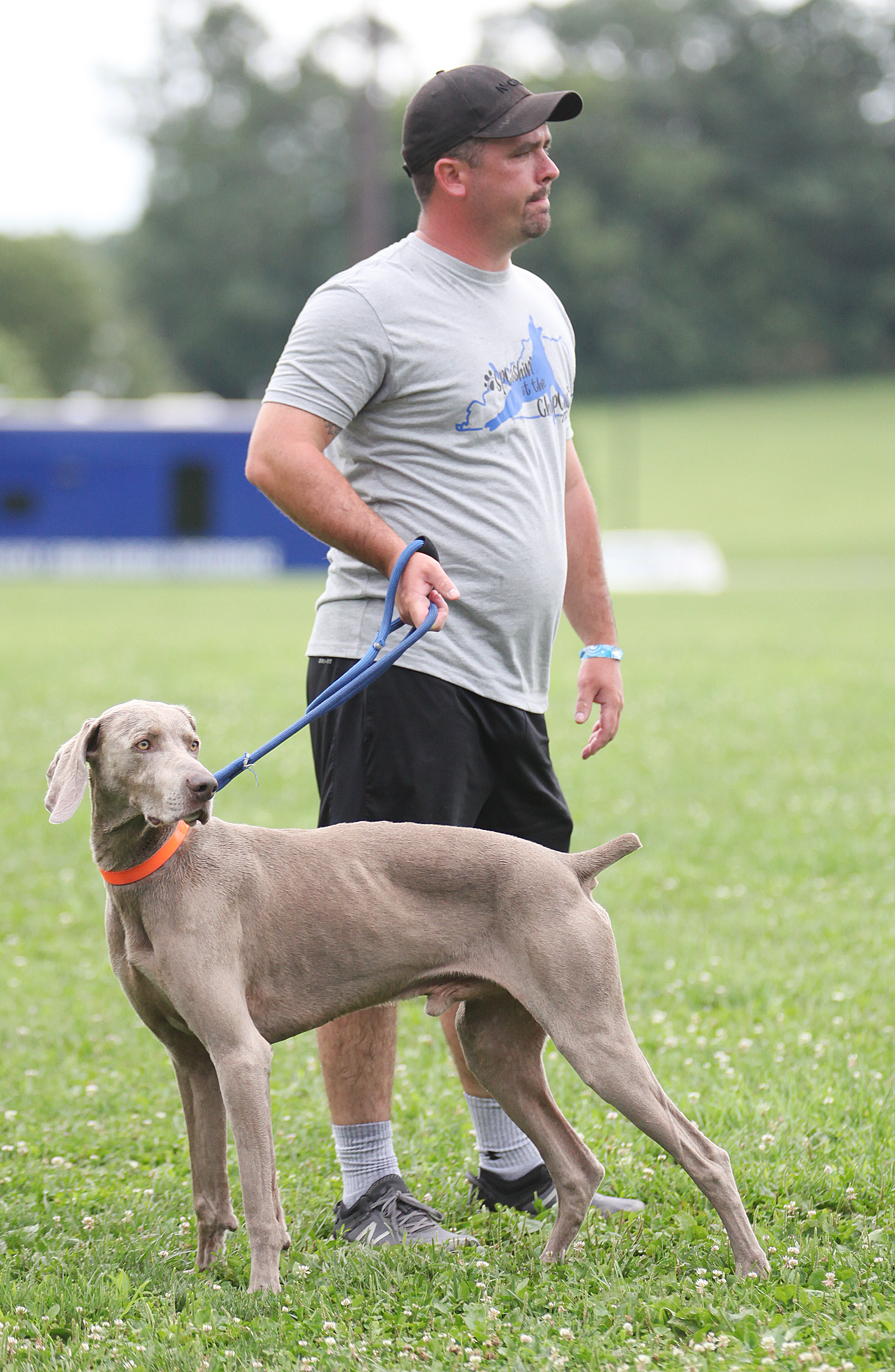 DockDogs event draws competitors from across the U.S. | The Advocate ...