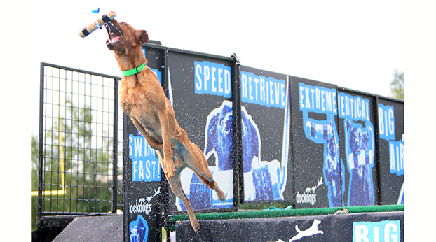 DockDogs event draws competitors from across the U.S. | The Advocate ...