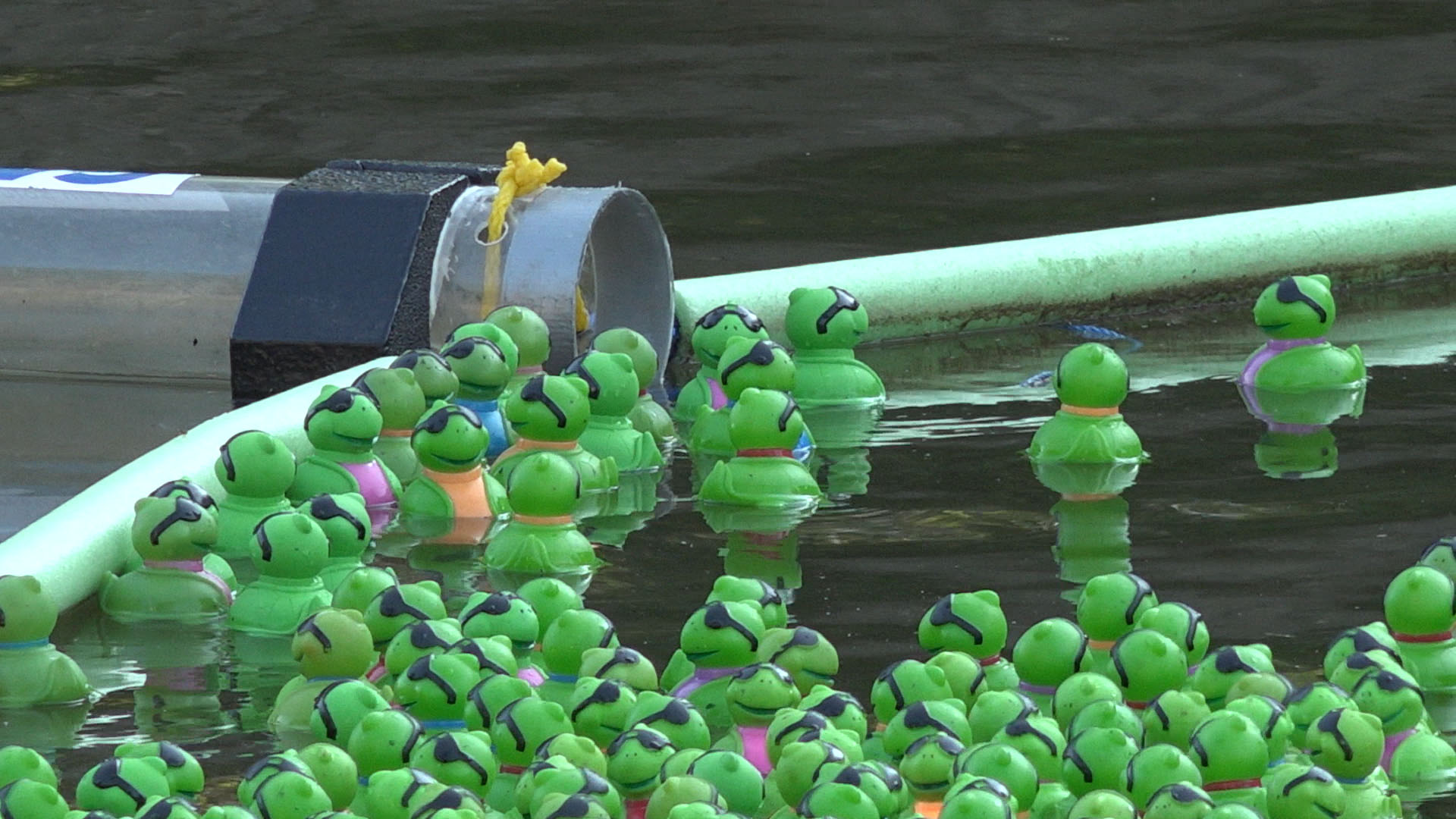 And they’re off! The Snappin’ Chaplin Turtle Derby helps support Main ...