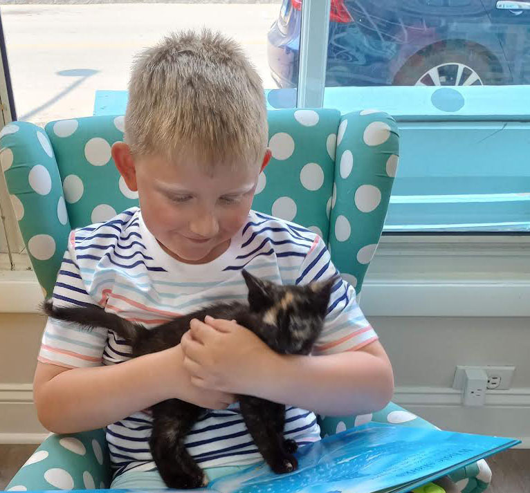 Plaid Elephant celebrates 2nd anniversary | The Advocate-Messenger