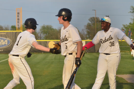 Boyle baseball team gets easy sweep of Danville - The Advocate ...