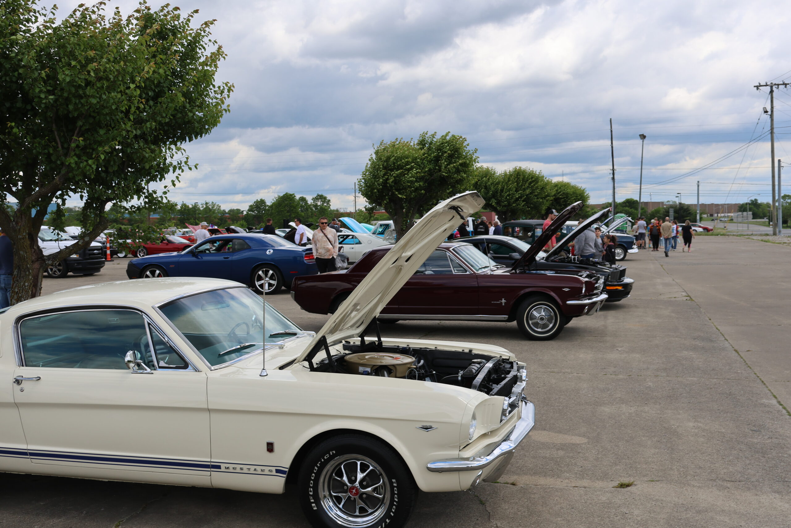 Stuart Powell celebrates 75 years | The Advocate-Messenger