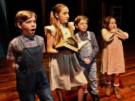 Review: “That Book Woman” gives educational and entertaining view into ...